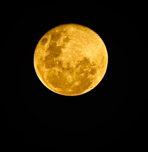Fenômeno da 'Lua Rosa' tem apogeu na noite desta quarta (8)